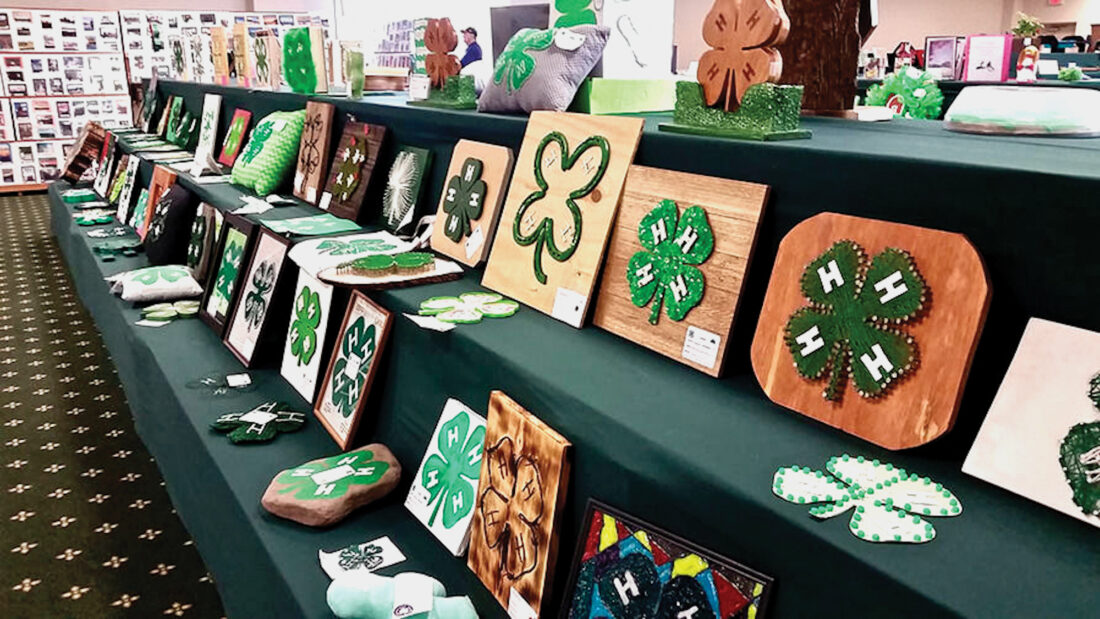 4-H Projects on Display at Ox Roast | News, Sports, Jobs - The ...